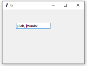 Caja de texto (Entry) en Tcl/Tk (tkinter) - Recursos Python